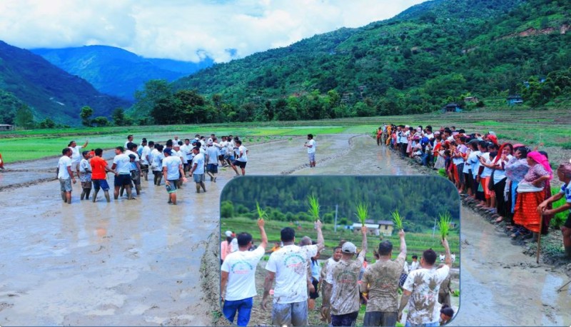 Mulpati :: मुलपाटी